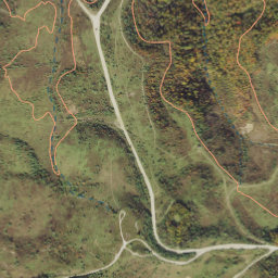 Mine Mide Adventure Park Trails Map